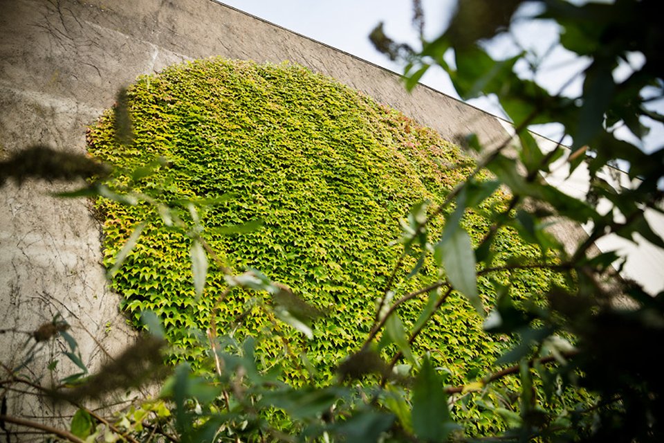 Botanical Street Art in Besancon, France by SpY - Gessato