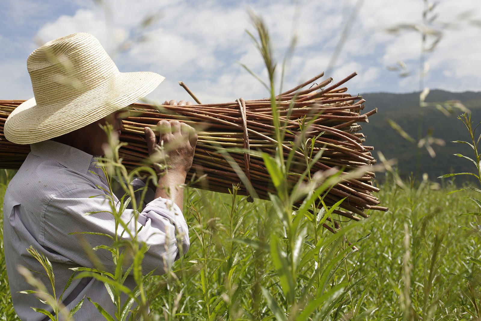 Wicker Metamorphosis: A Farming and Arts Station in Chile - Gessato