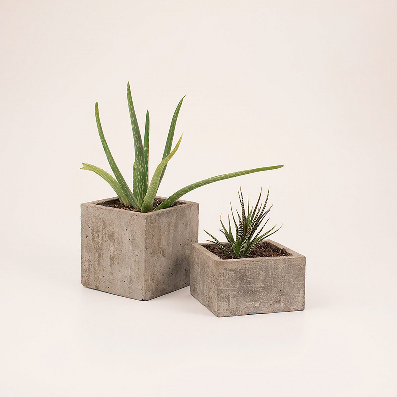 Concrescence Concrete Planters by Vakodesign - Gessato