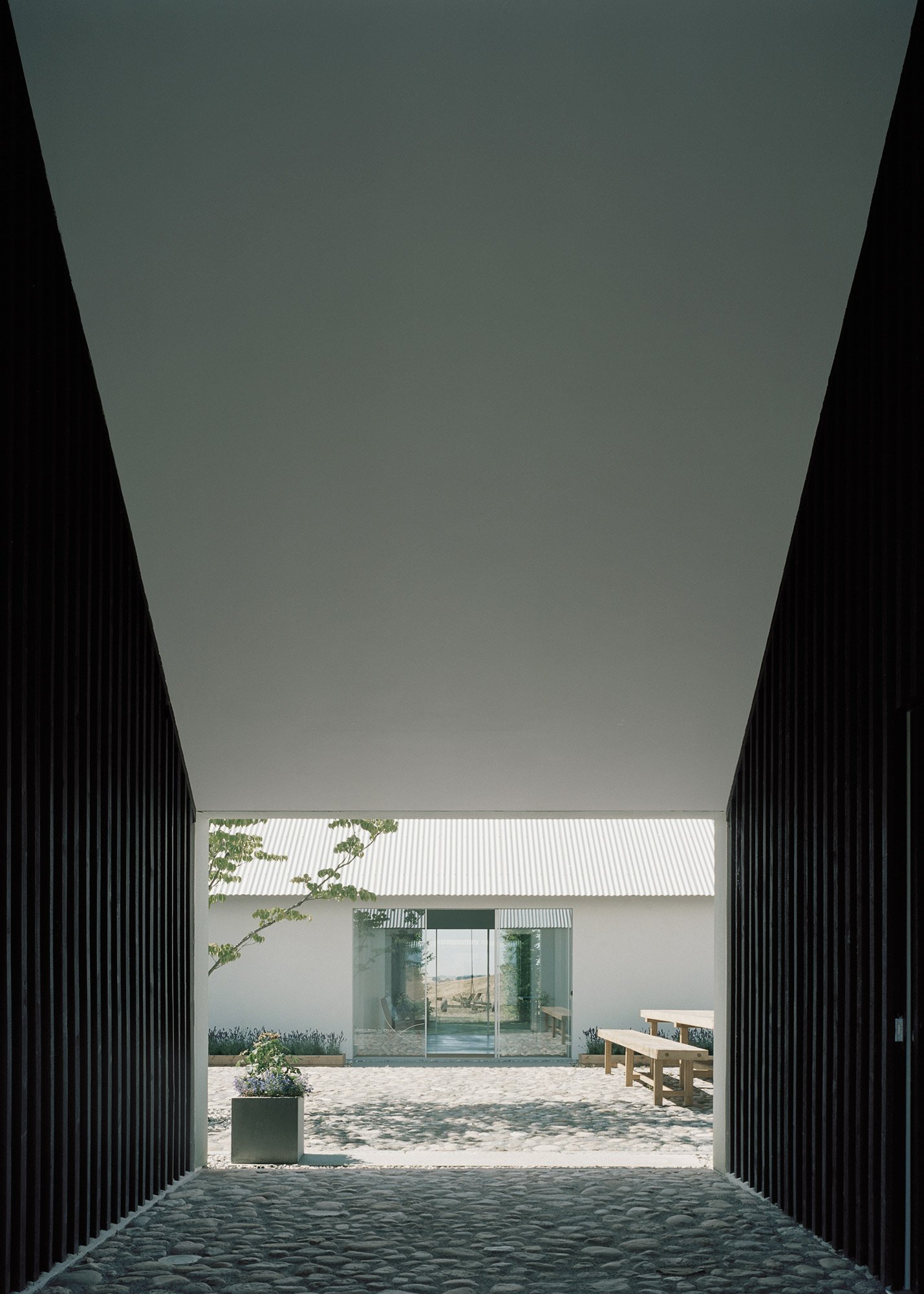 Baron House - Gessato