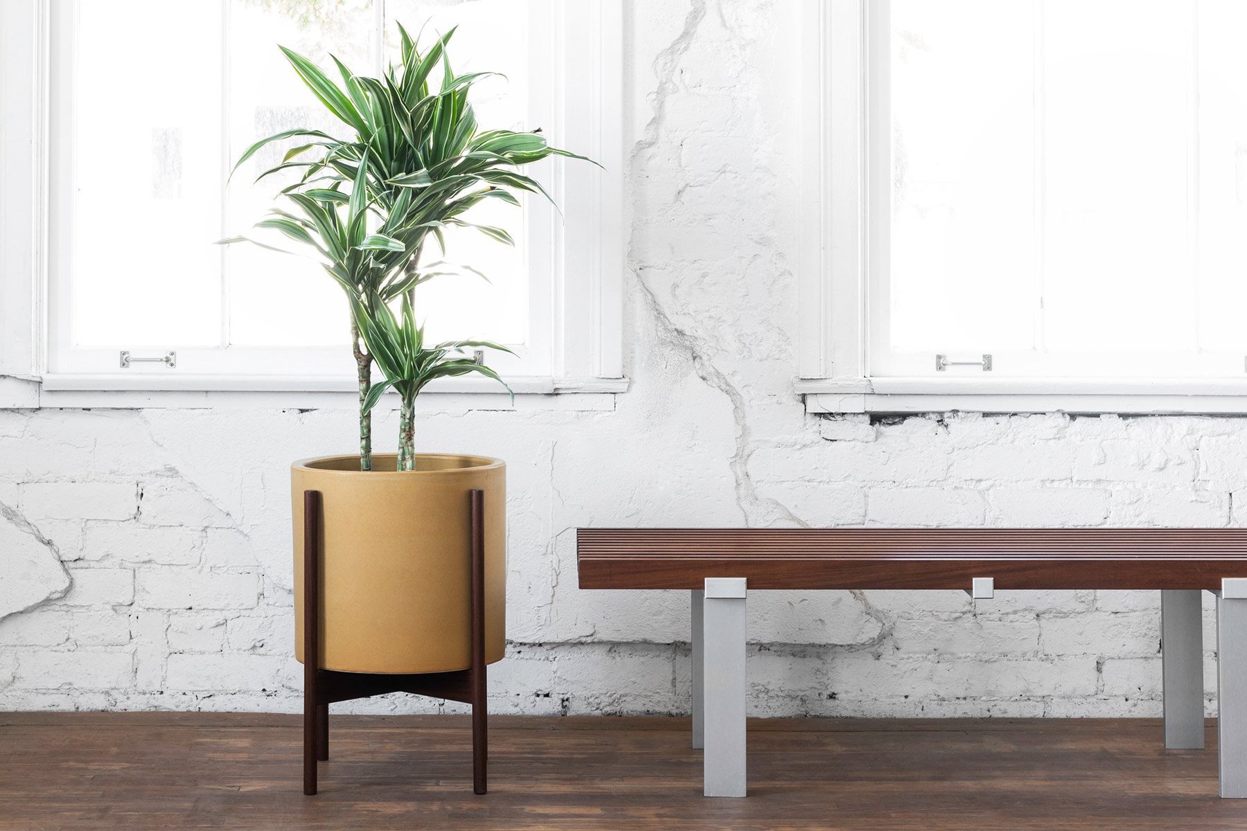 The Best Oversized Planters - Gessato