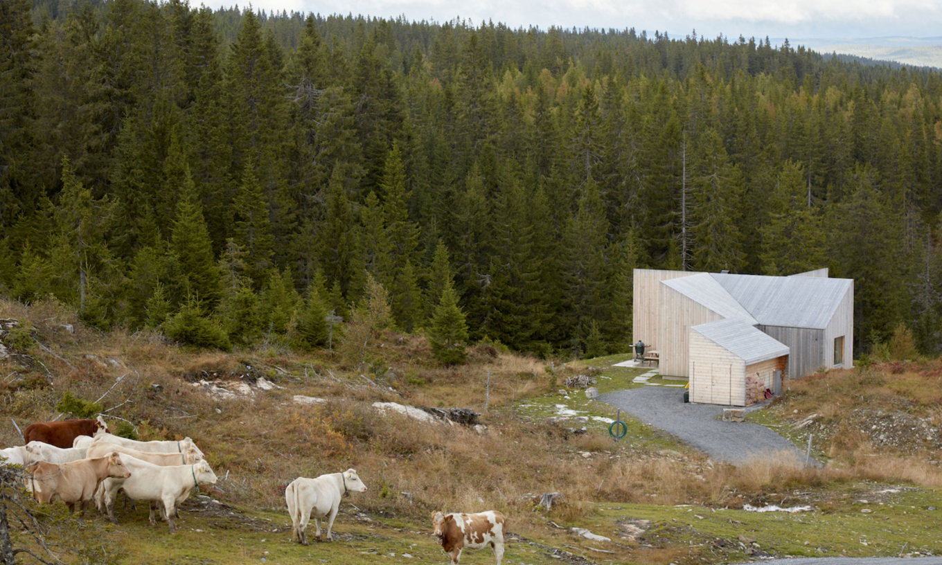 Scandinavian Houses Nestled in Spectacular Landscapes - Gessato