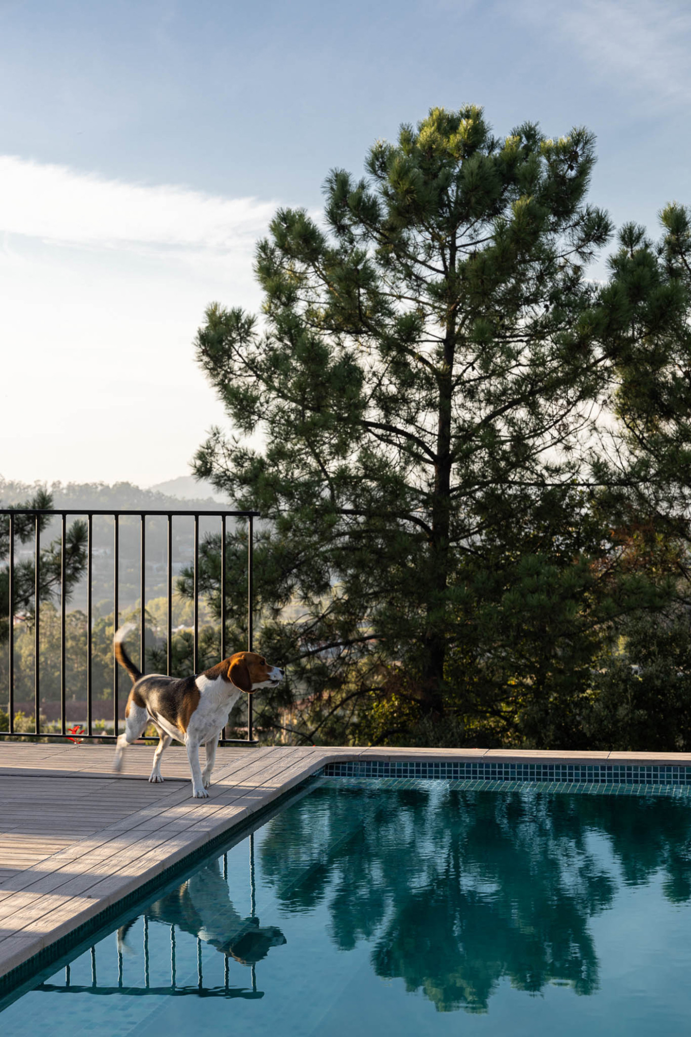 PS House - Gessato