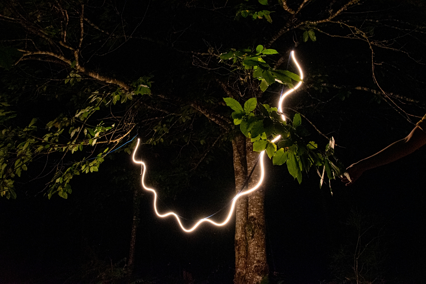 Introducing Array Lighting - Gessato