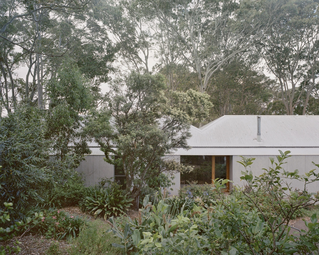 Mossy Point House - Gessato