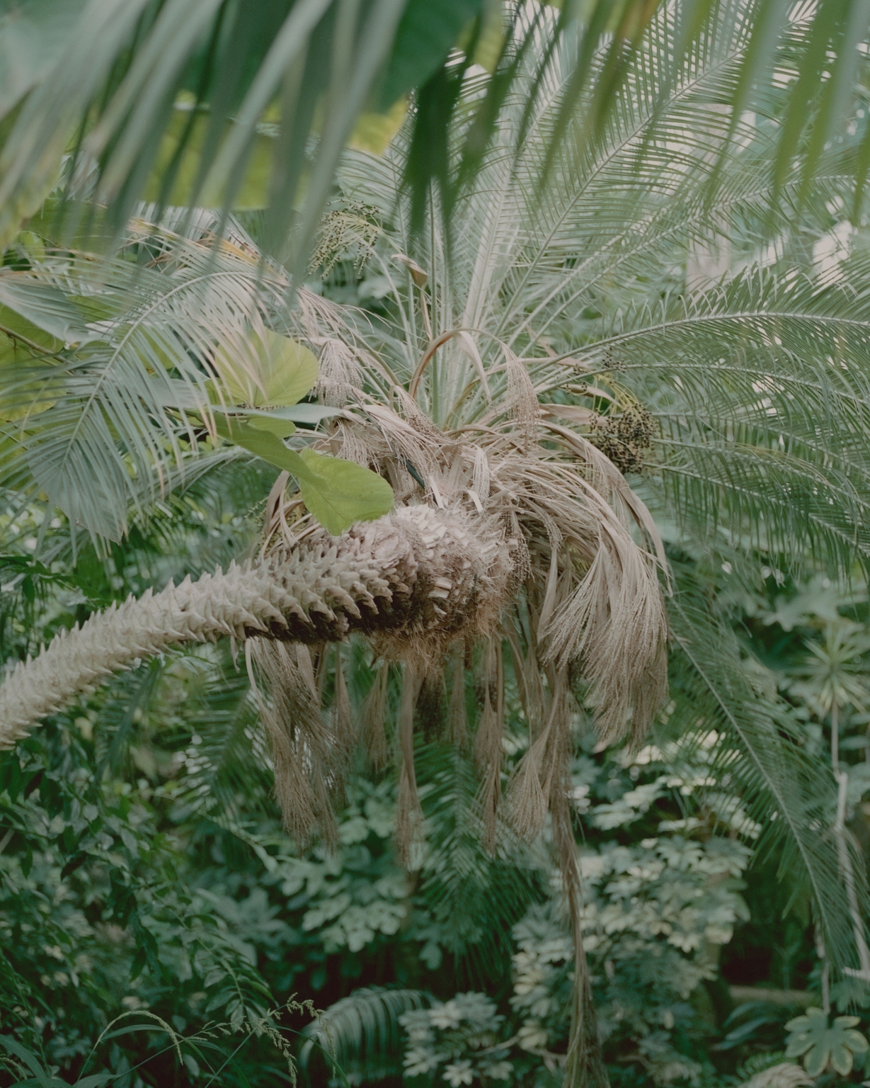 Conversations with Simone Bossi: Beyond the Lens and Into the Soul ...