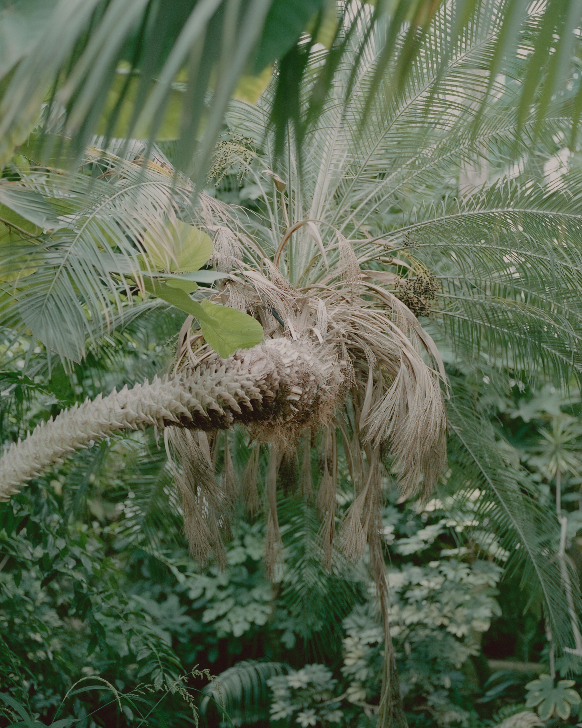 Conversations with Simone Bossi: Beyond the Lens and Into the Soul ...