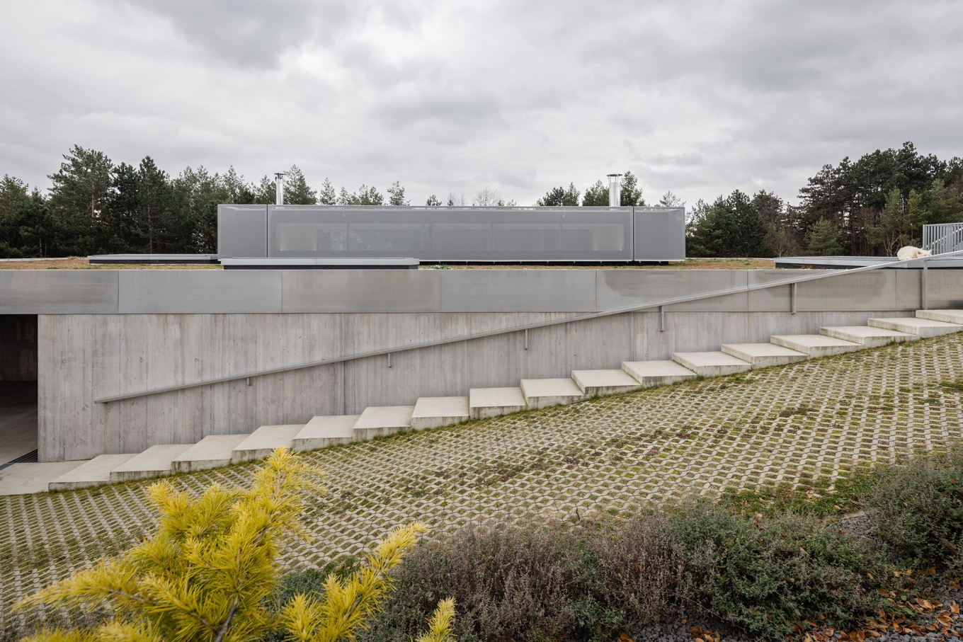 Embedded House - Gessato