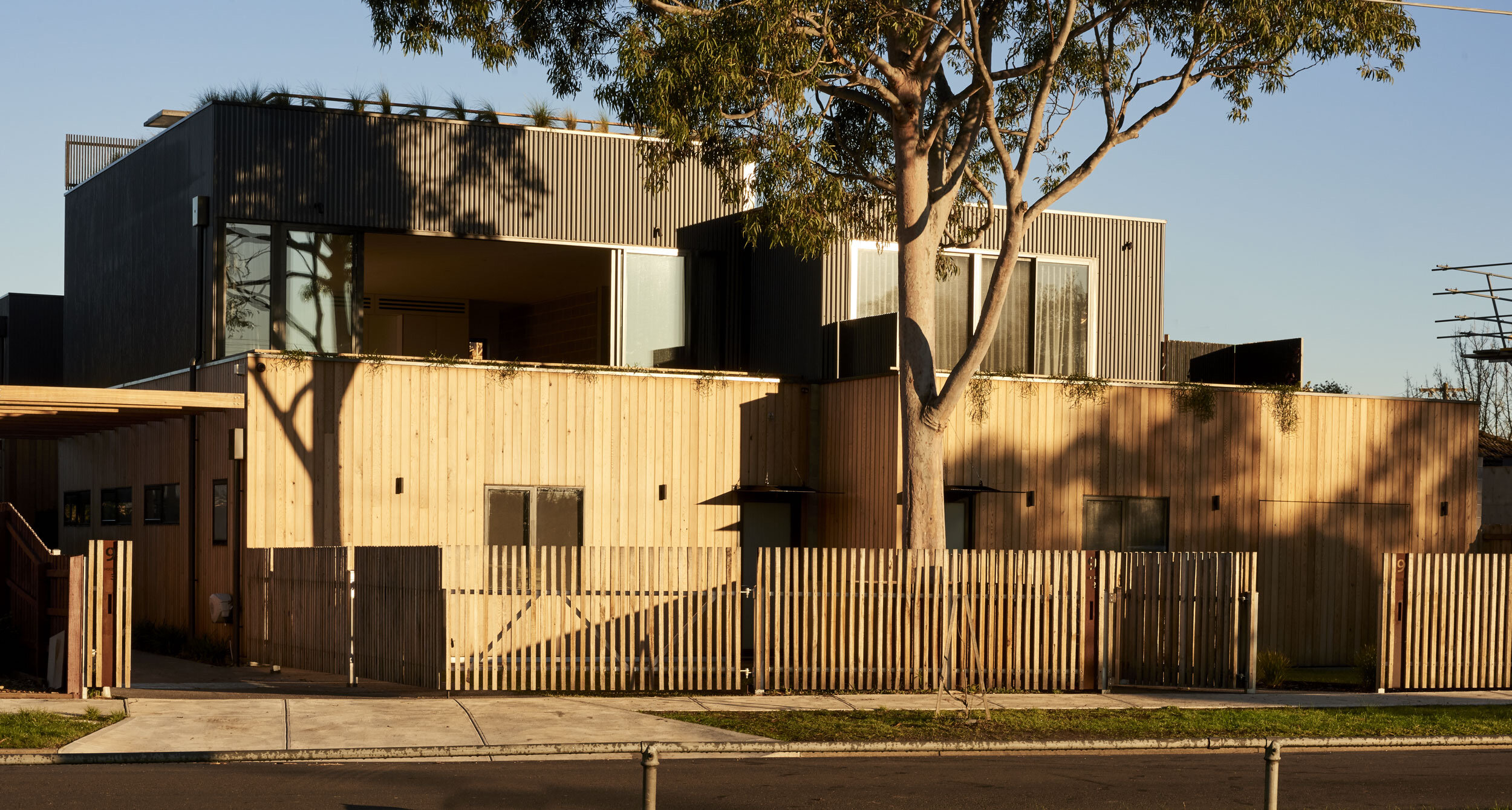 Robbie Walker - Gessato