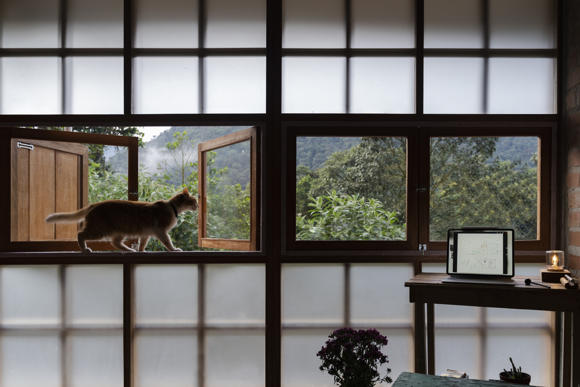 Soul House - Gessato