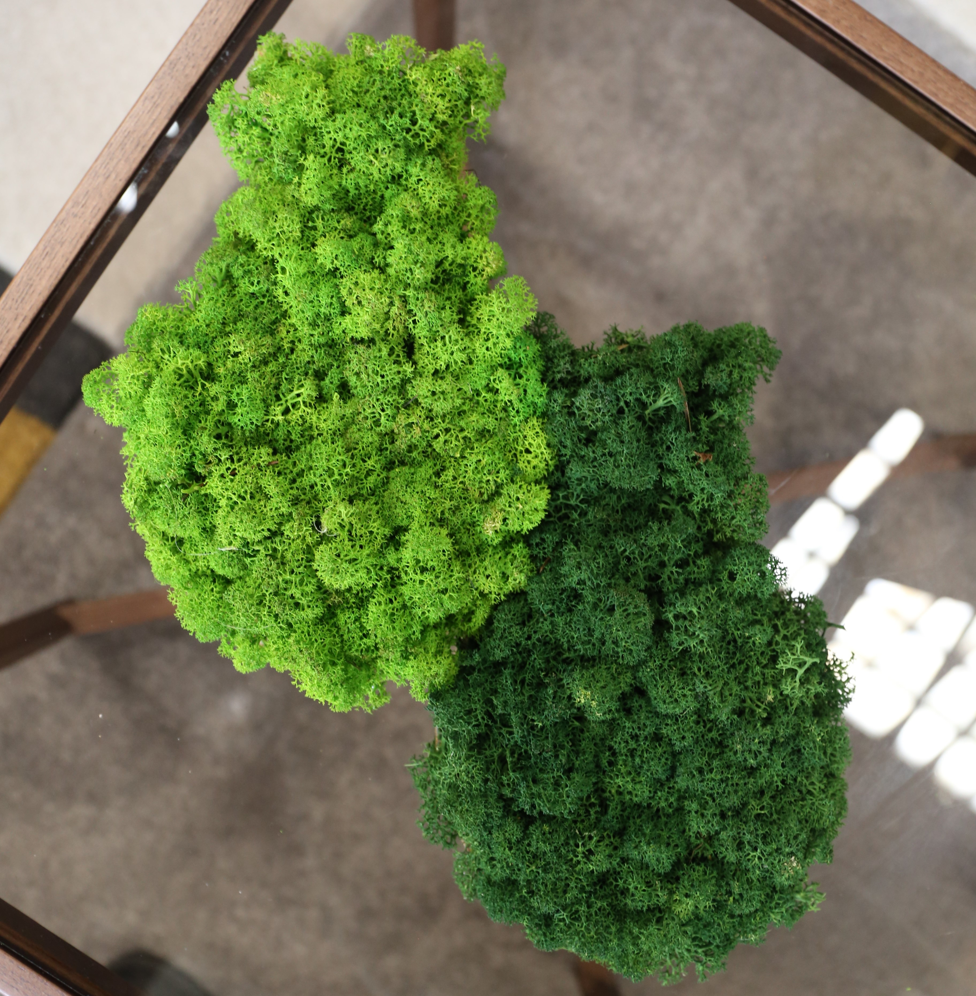 The Muratto x Momentum Collection - Gessato